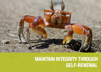 Life’s Principles Leadership Cards - Biomimicry 3.8