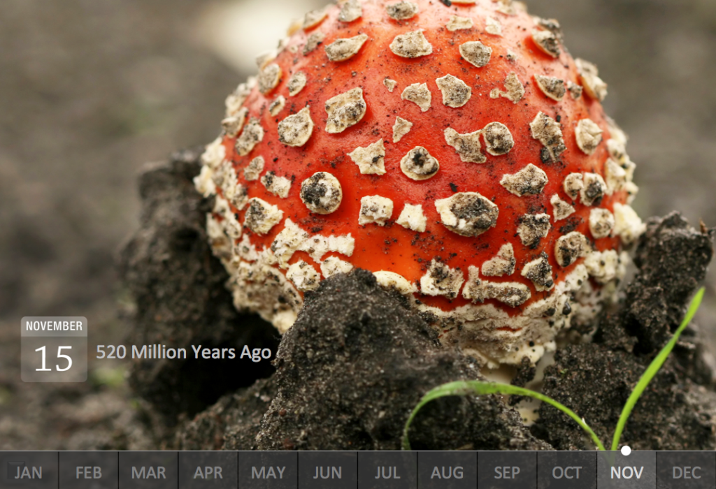Vertebrates: The backbone of Earth’s calendar year - Biomimicry 3.8