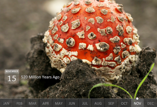 Vertebrates: The backbone of Earth’s calendar year - Biomimicry 3.8