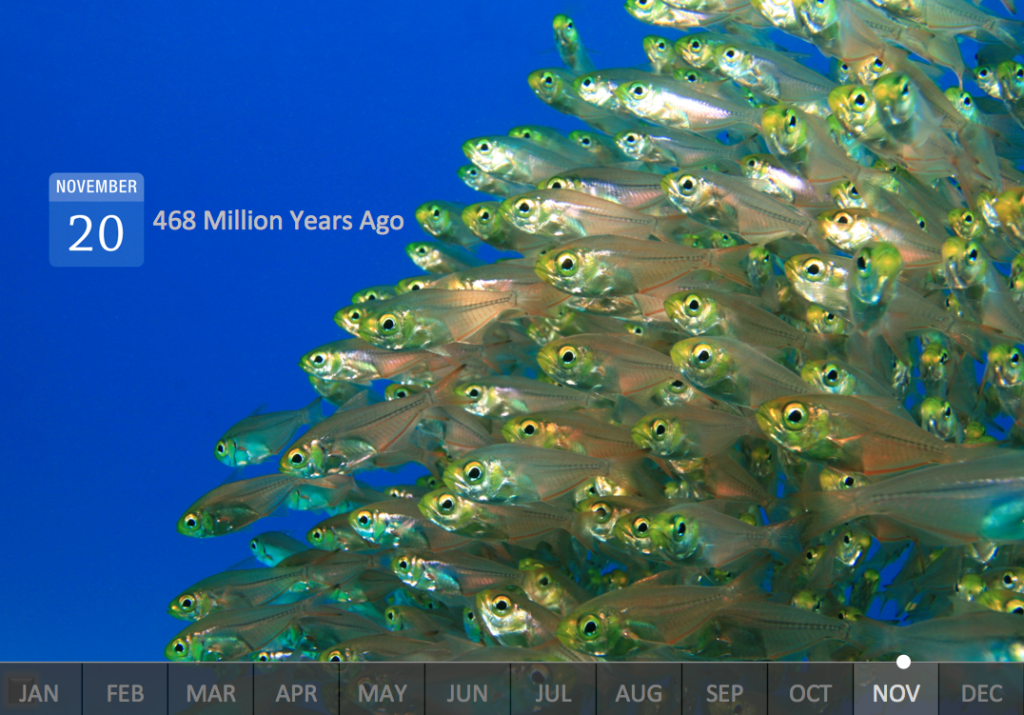 Vertebrates: The backbone of Earth’s calendar year - Biomimicry 3.8