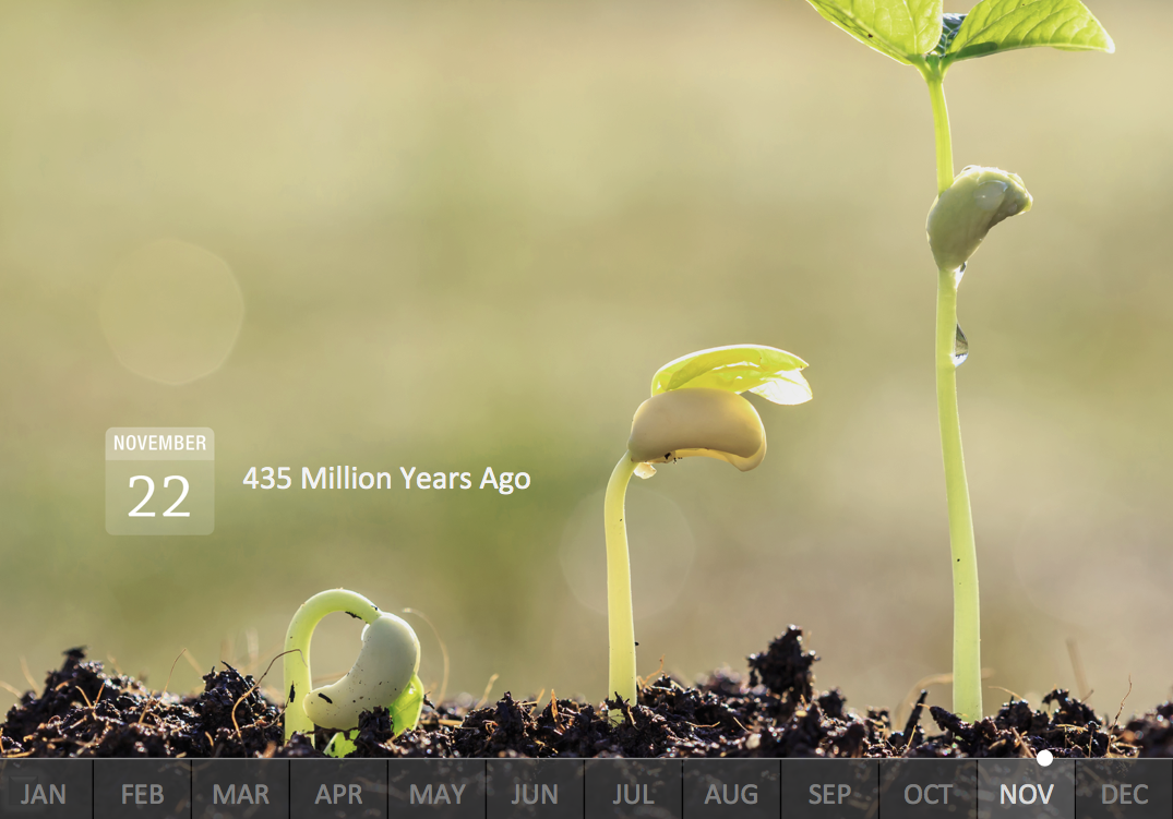 Vertebrates: The backbone of Earth’s calendar year - Biomimicry 3.8
