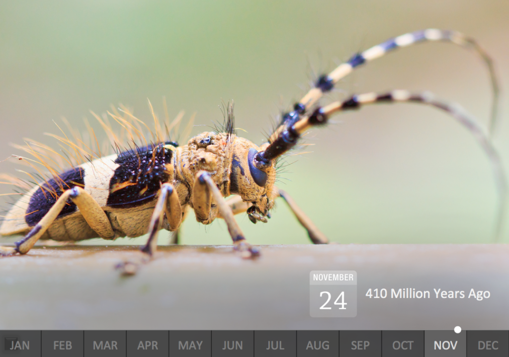 Vertebrates: The backbone of Earth’s calendar year - Biomimicry 3.8