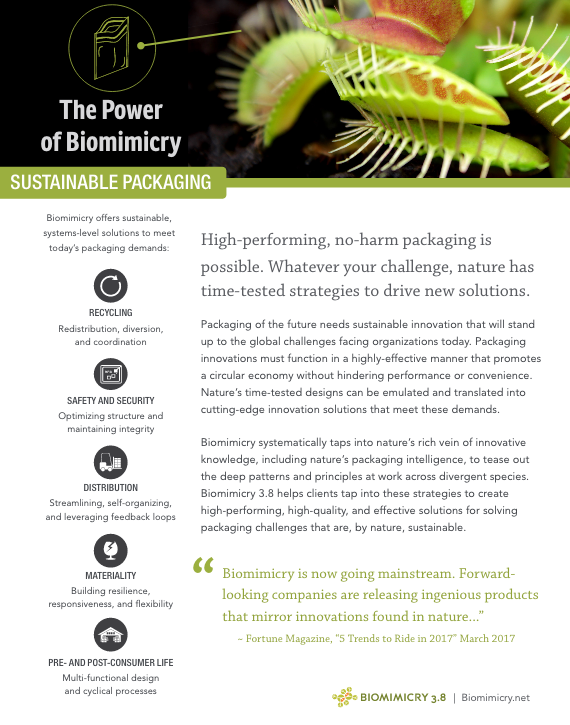 Can innovation inspired by nature help save our oceans from plastic ...