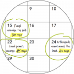 Earth’s Calendar Year - Biomimicry 3.8