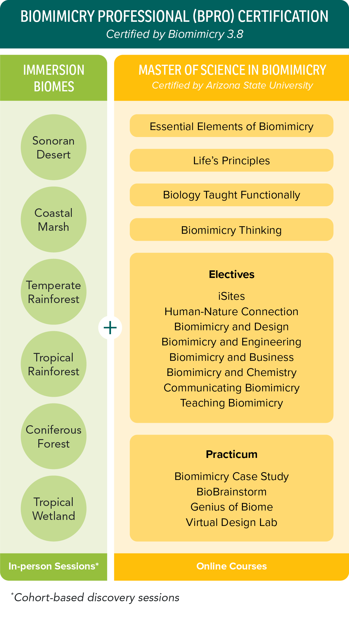 Biomimicry Professional Program - Biomimicry 3.8