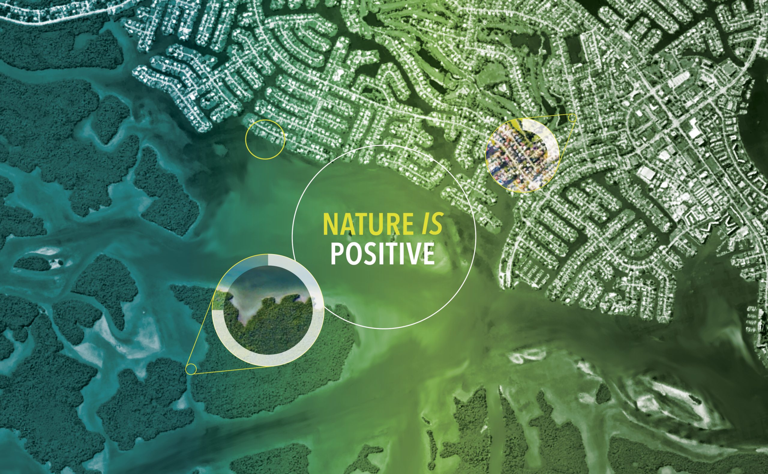 Nature is Positive - Biomimicry 3.8